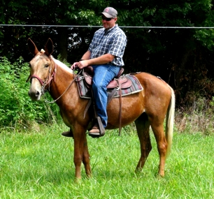 Gaiting in field